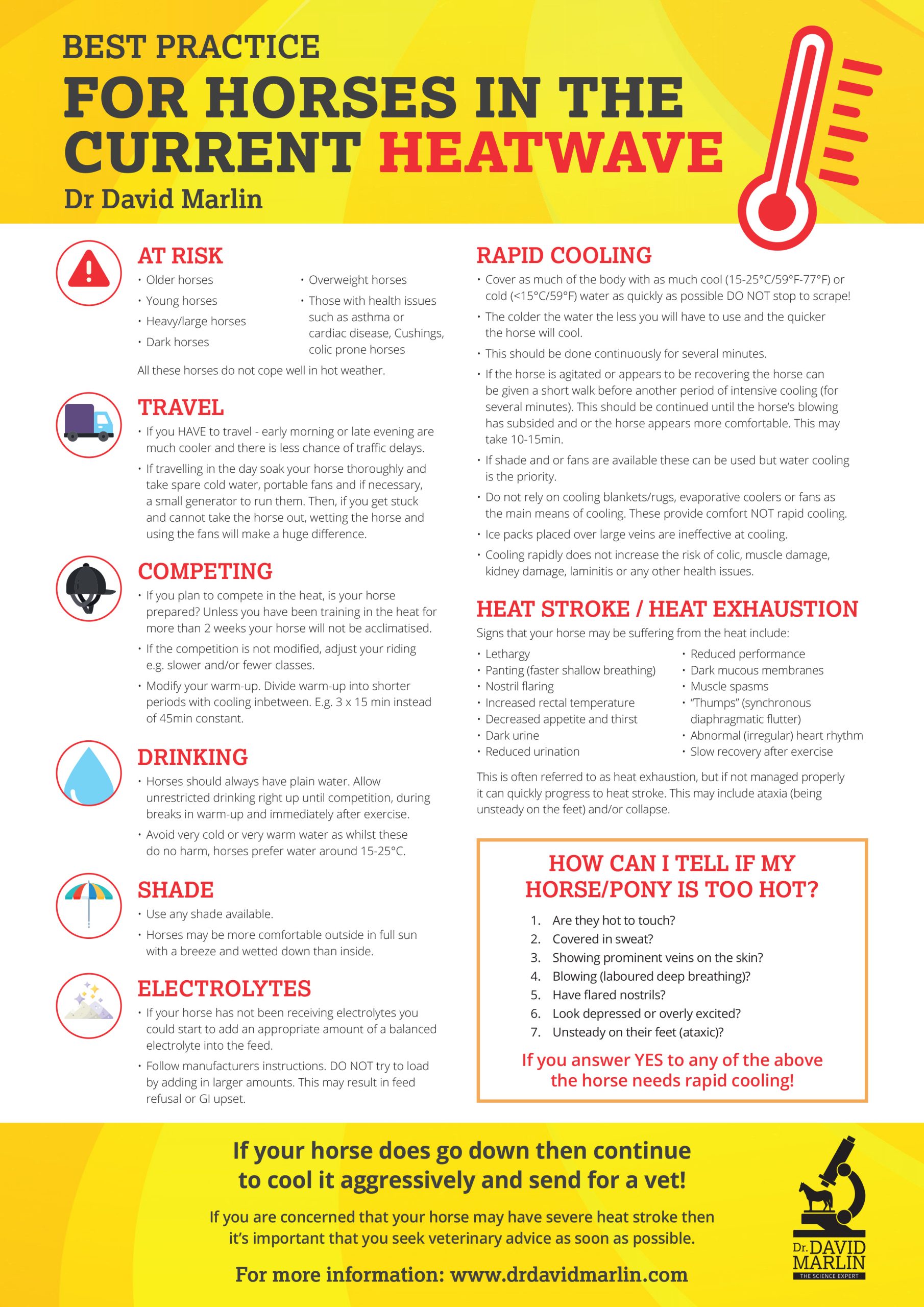 Heatwave Best Practice – Here4Horses